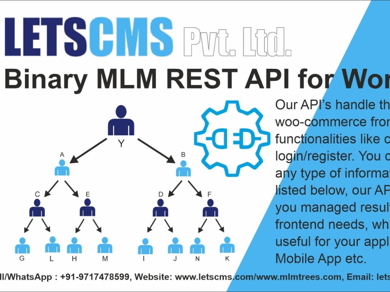 Dribbble Binary Rest Api By Letscms 