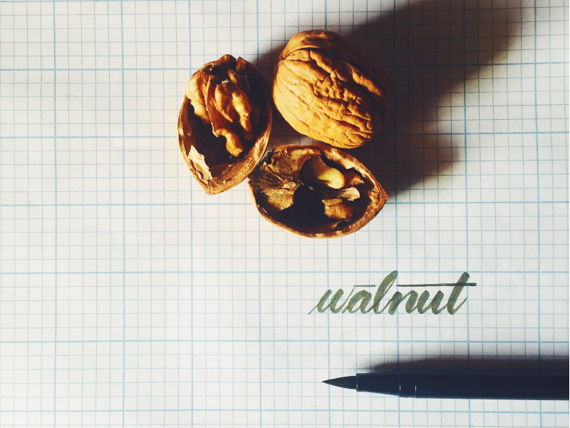 Walnut by Heena Trivedi on Dribbble