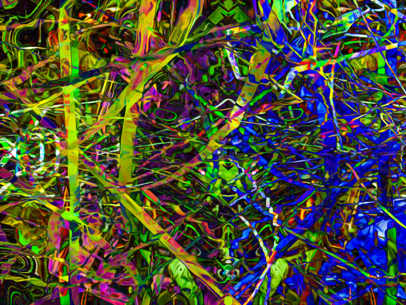 NO PUT BACKS by Eric Minnick on Dribbble