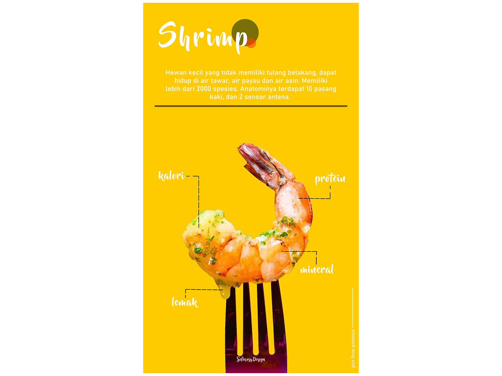 SHRIMP. by SELARASS on Dribbble