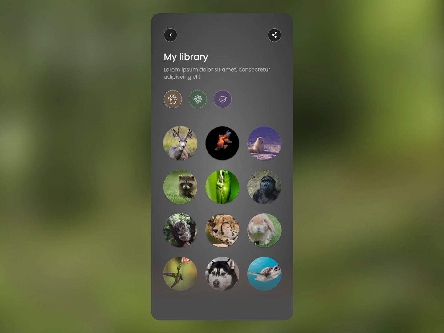 AI Animal Scanner by Movadex on Dribbble