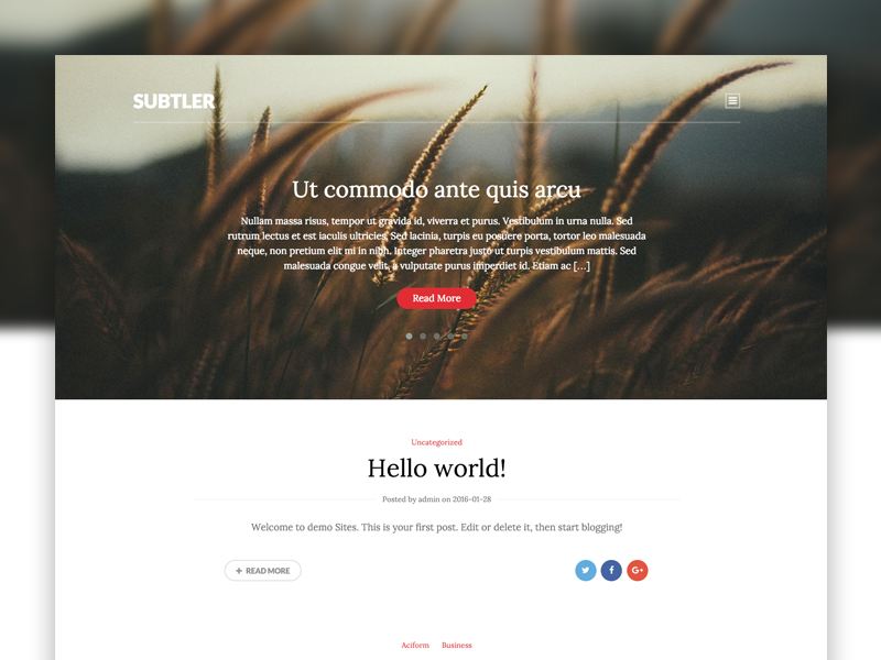 Subtler WP theme by Jinson Abraham on Dribbble