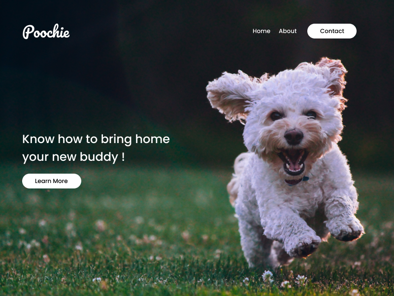 Dog Landing Page by Monik Kacha on Dribbble