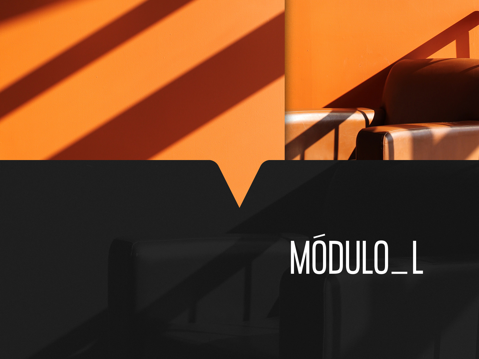 MODULE by Agustin R. Michel on Dribbble