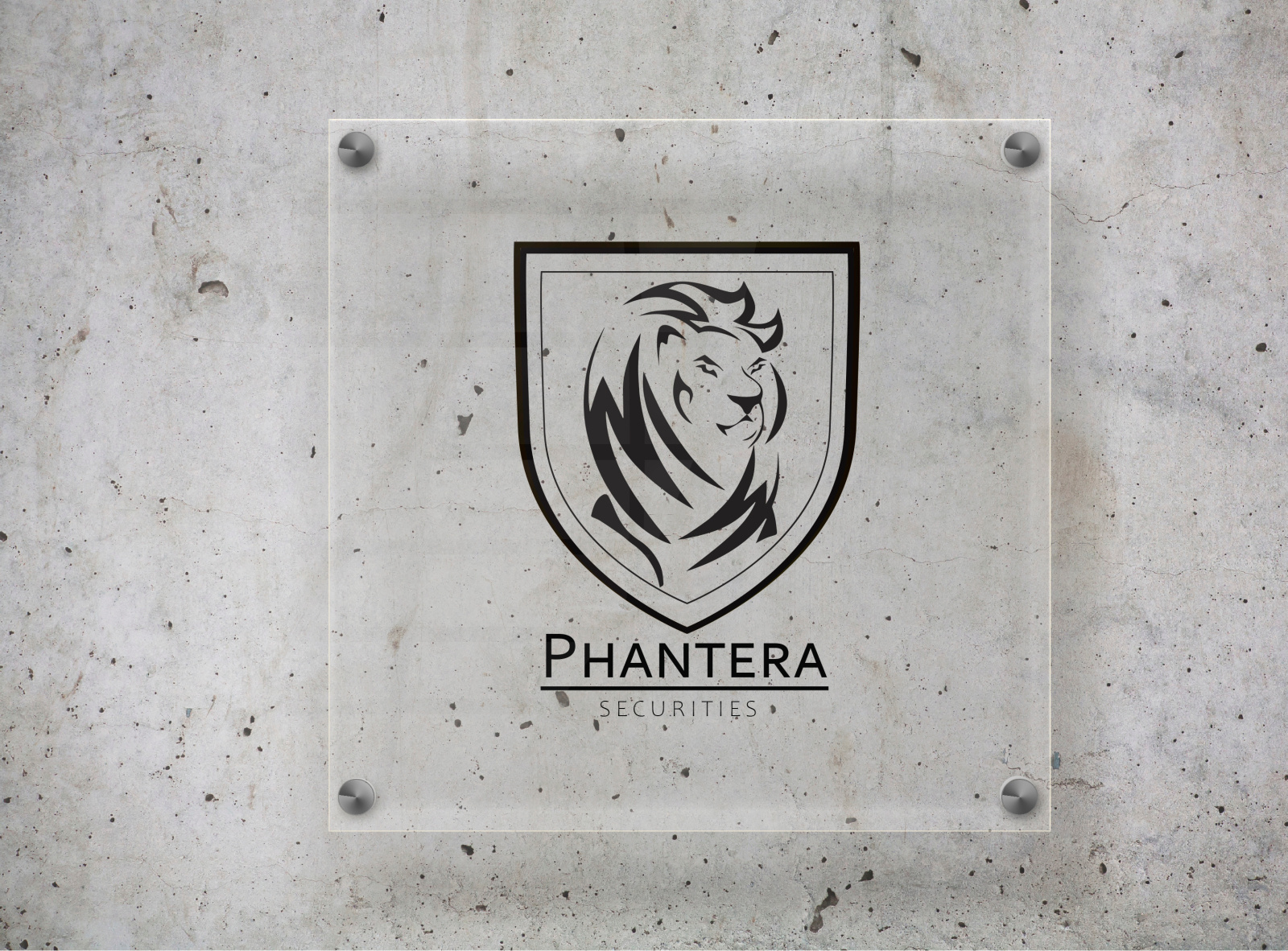 Phantera Securities by Maira Ahmad on Dribbble