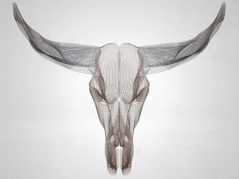 Wireframe animal skull by Chris Spooner on Dribbble