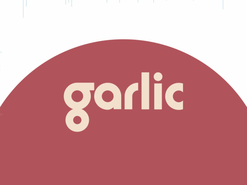 Garlic - logo construction by FourPlus Studio on Dribbble