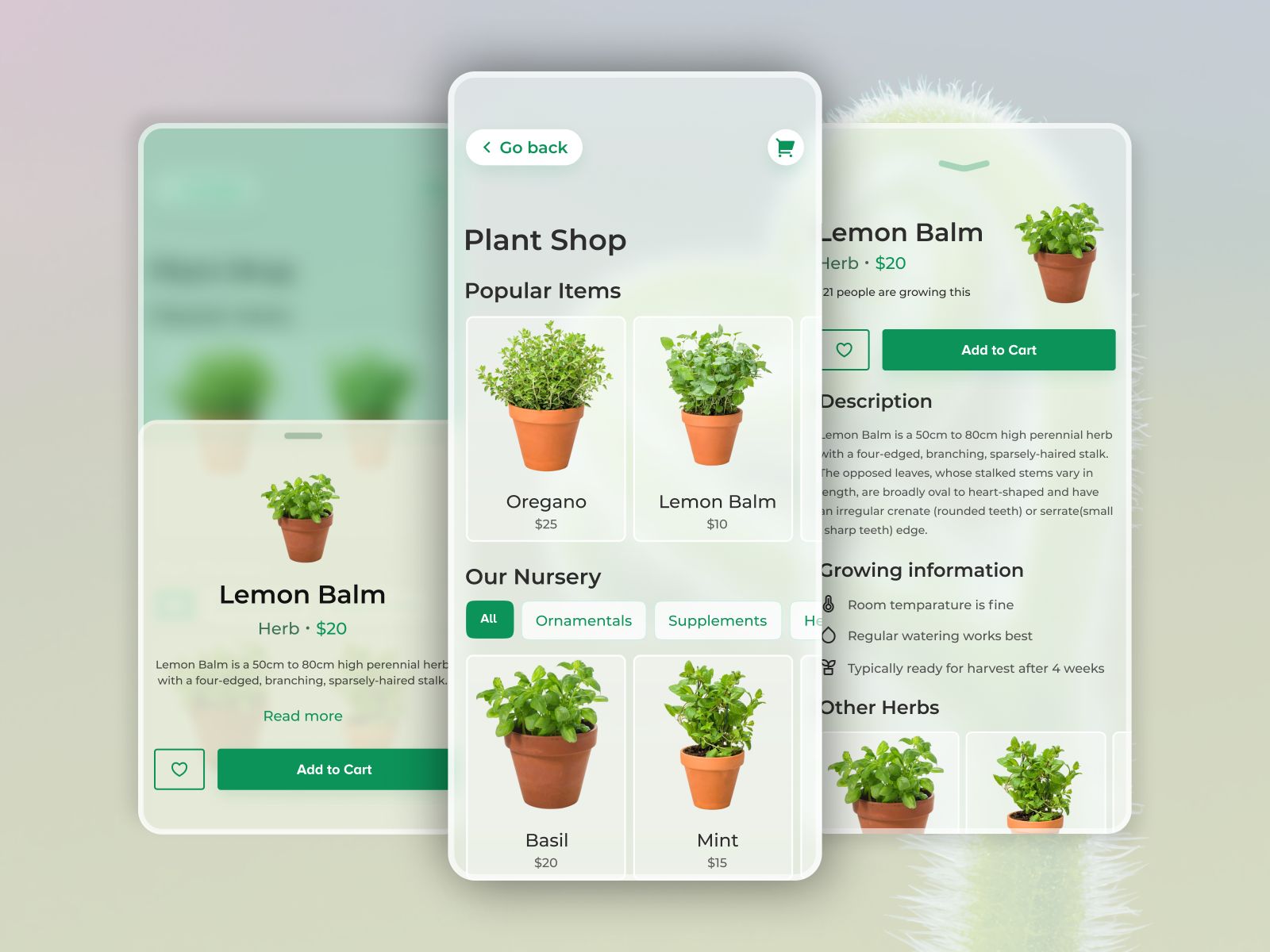 Glassmorphic Plant Store UI by Creatibuzz UX Design Agency on Dribbble