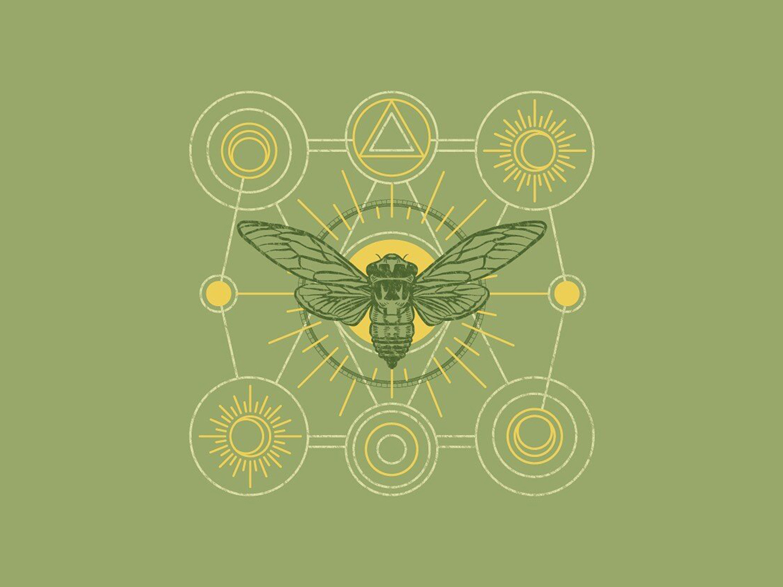 Green Cicada Illustration by Ryan Connolly on Dribbble