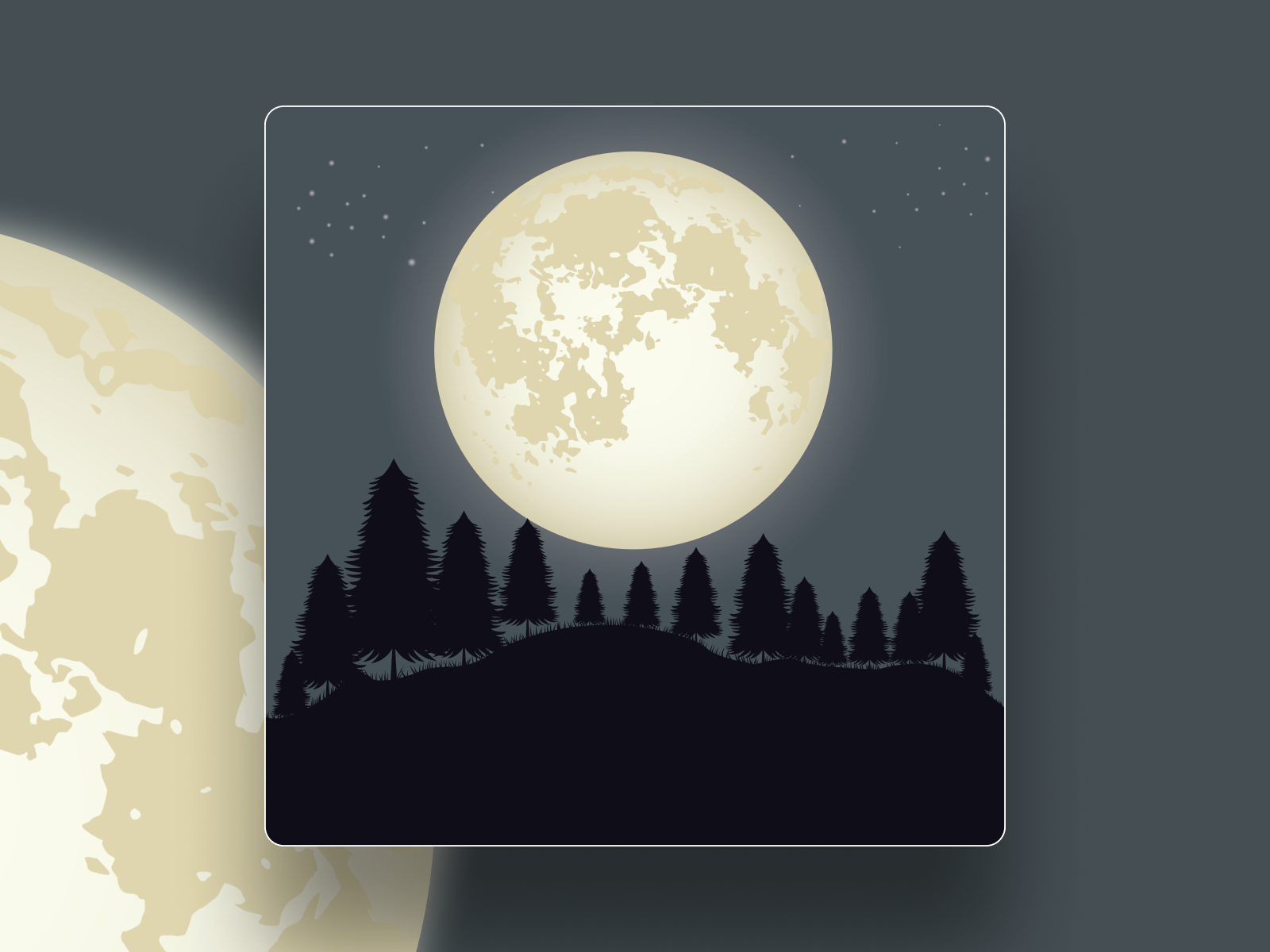 Illustration moon and forest by Design Mashine on Dribbble
