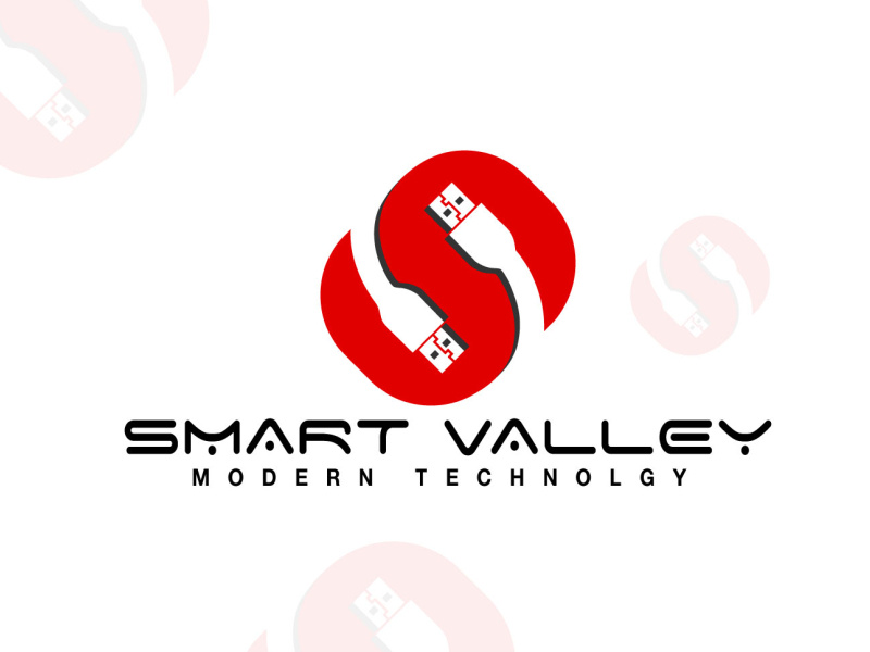 Dribbble - smrt-vally.jpg by Sunny Ahmed