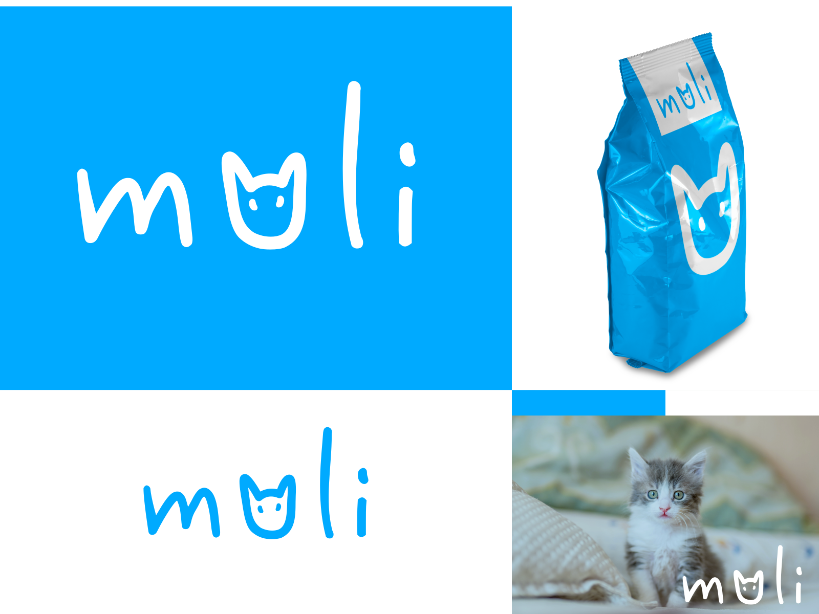Moli Logo Design by ALTAF on Dribbble