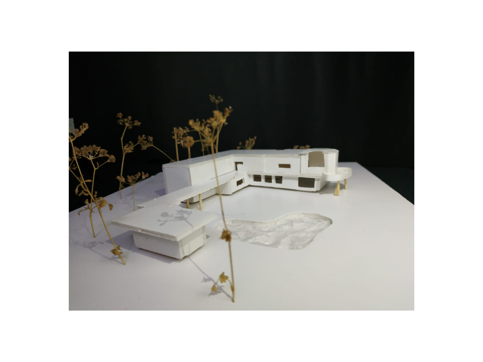 Villa Mairea - Alvar Aalto by Emine Ayyıldız on Dribbble
