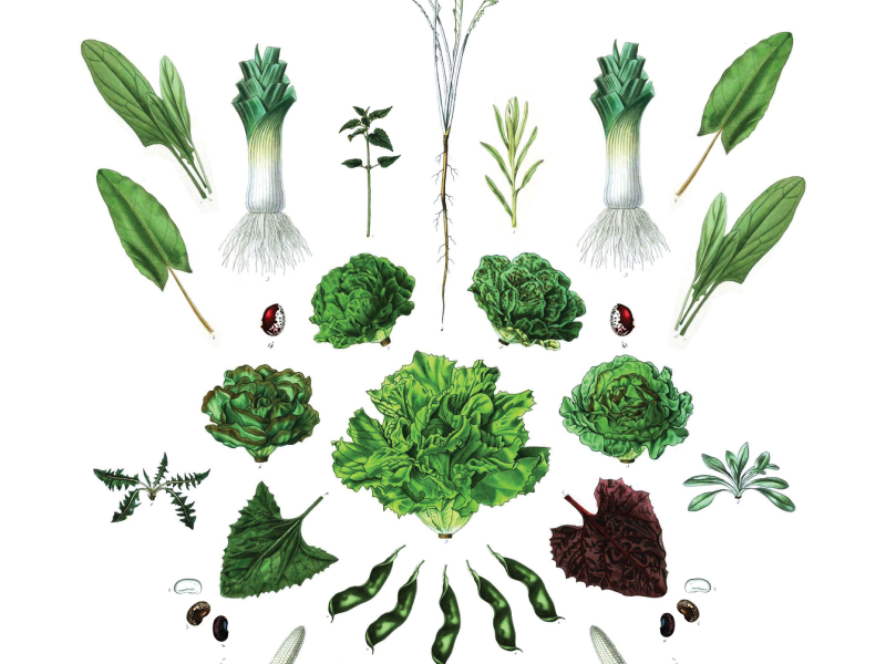 The ESP by Eric Carlson on Dribbble