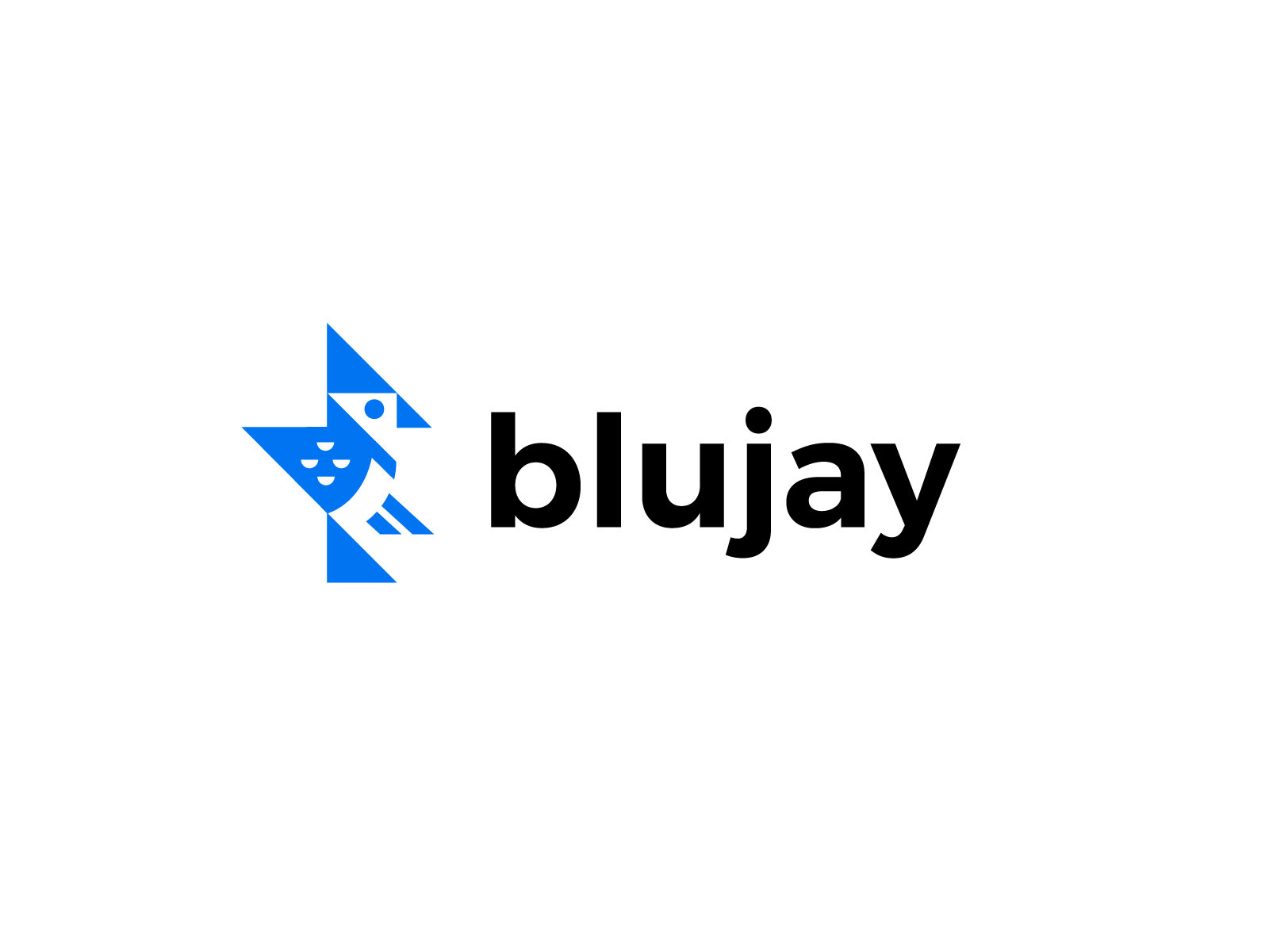 blujay by Sergio Joseph on Dribbble