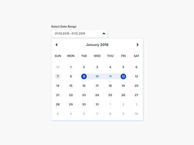 Date Picker by Tyler Wain on Dribbble