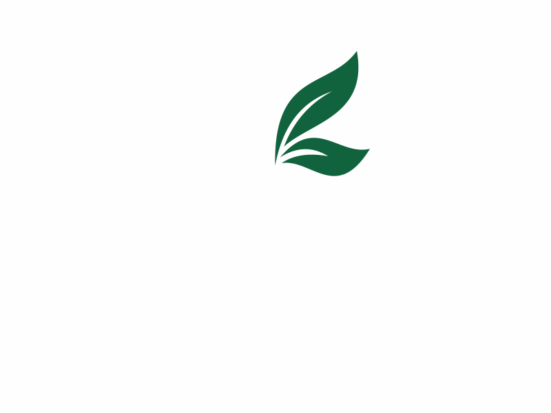 retail logo animation by ana faiza on Dribbble