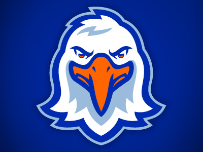 Jr Gulls by Jason Villanti on Dribbble