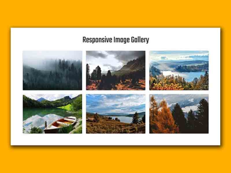 Responsive Image Gallery using Materialize CSS by divinectorweb on Dribbble