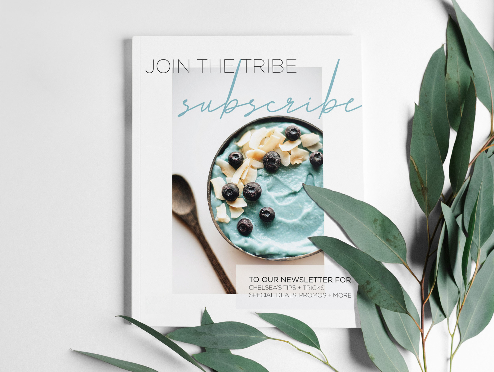 Juice Bar Newsletter Post by Beck Sullivan on Dribbble