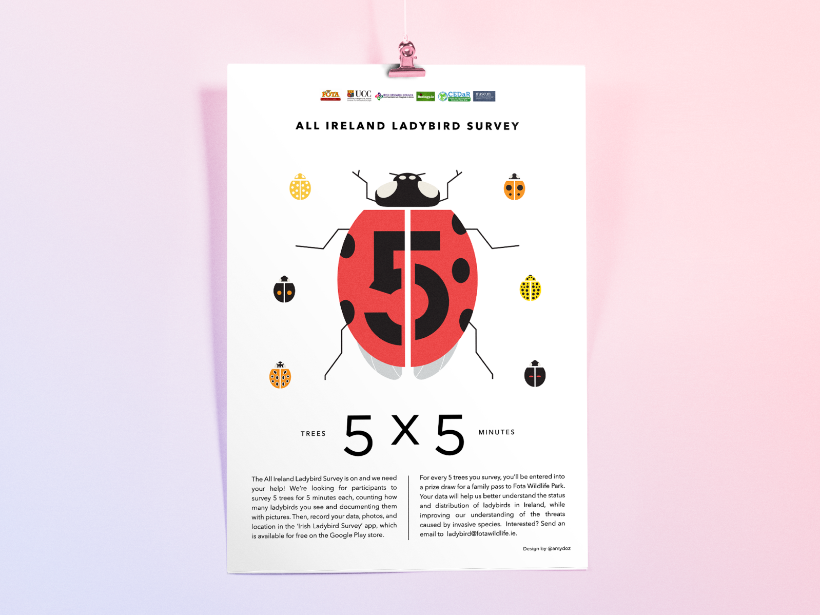 All-Ireland Ladybird Survey by Amy Dozier on Dribbble