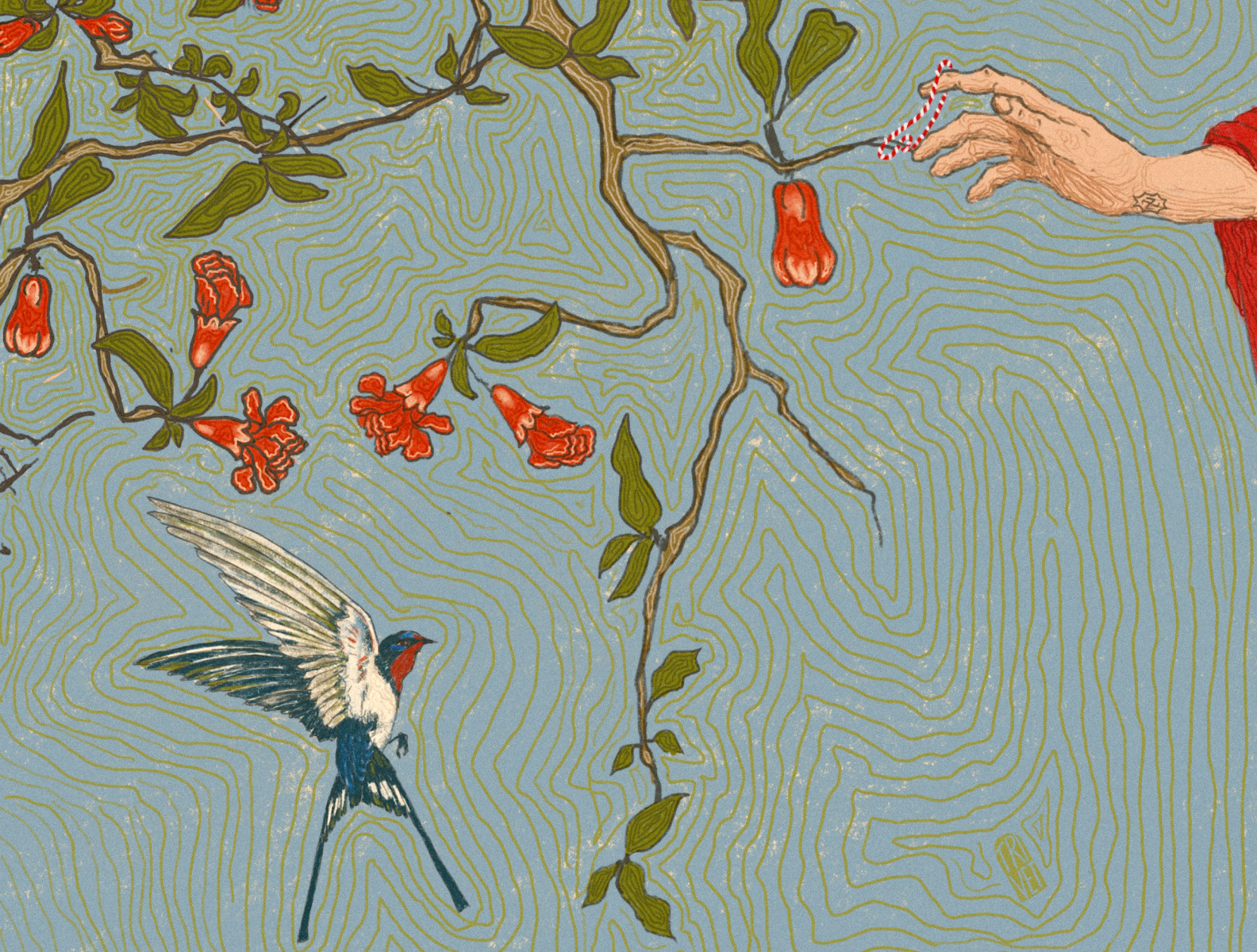 Verorja by Elsa Paja on Dribbble