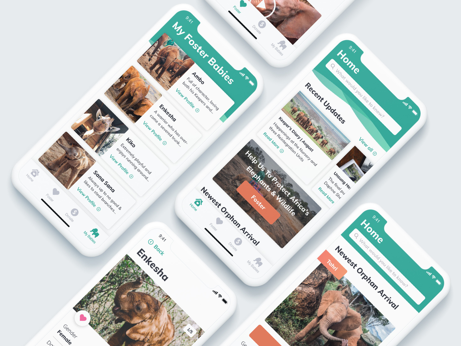 Mobile App for The David Sheldrick Wildlife Trust by Lauren Watters on ...