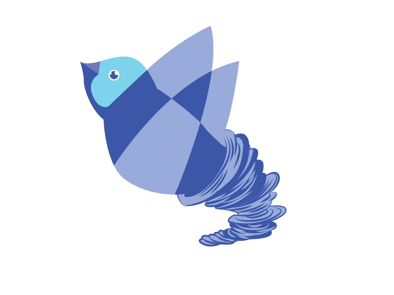 SPECIAL BIRD by Joseph Affran on Dribbble