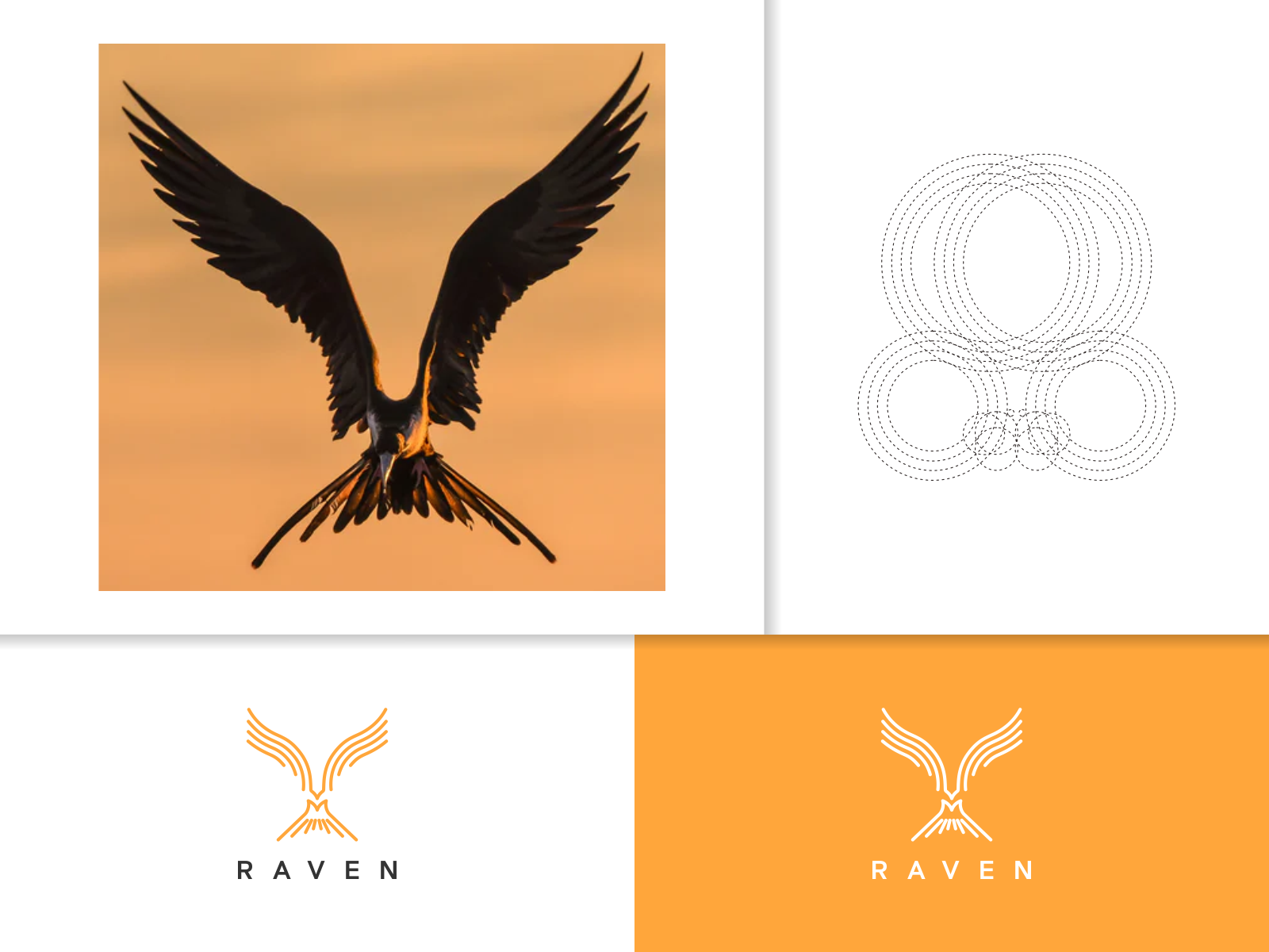 RAVEN logo by estedesigns on Dribbble