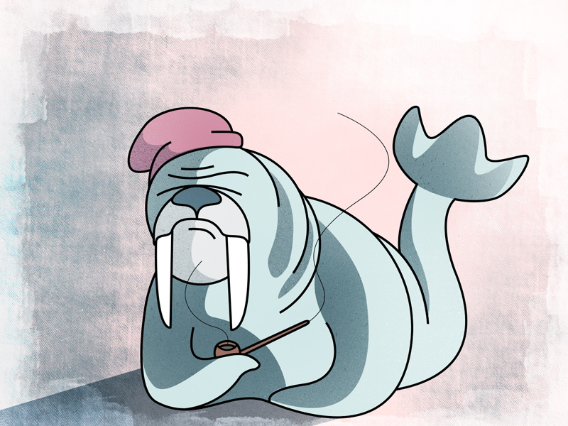 Walrus by Jessie Maisonneuve on Dribbble