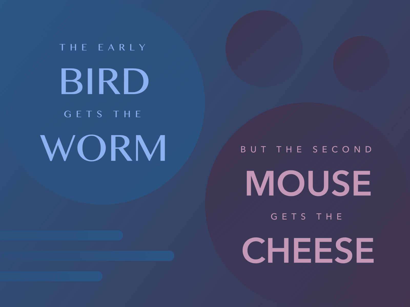 Birds vs. Mice by Stelios Constantinides on Dribbble