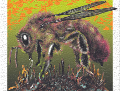 Dirty Bee - Illustration by maulana on Dribbble