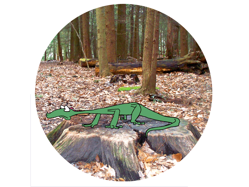 Lizard! by Cameron Foxly on Dribbble