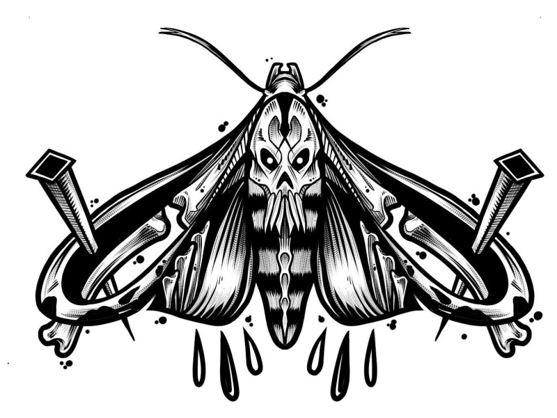 Death Moth by Scott Connick on Dribbble