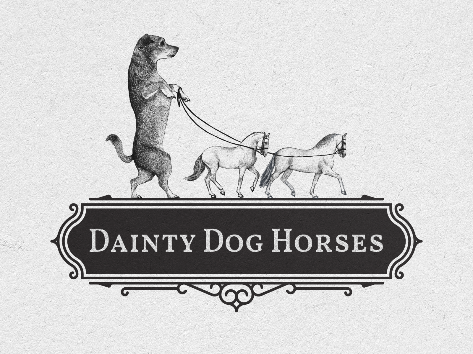 Dainty Dog Horses Logo Design by Melih Mericadali on Dribbble