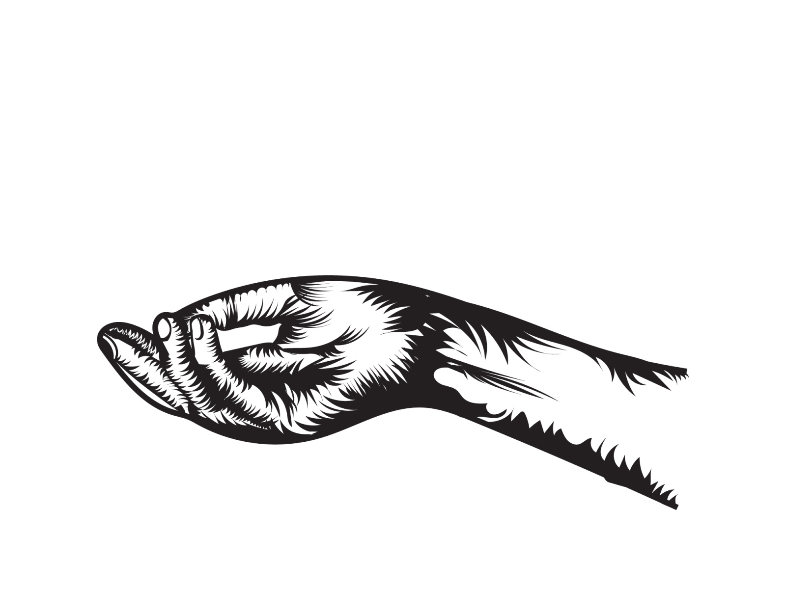 Hand Vector by Harunur Rashid on Dribbble