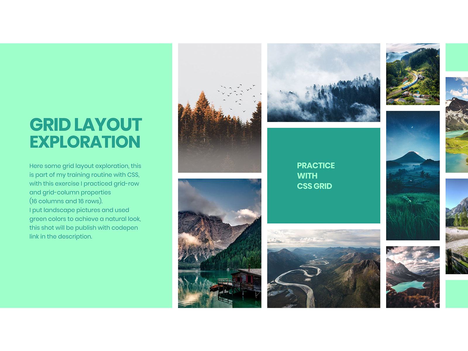 Grid template exploration by Camilo Metaute on Dribbble