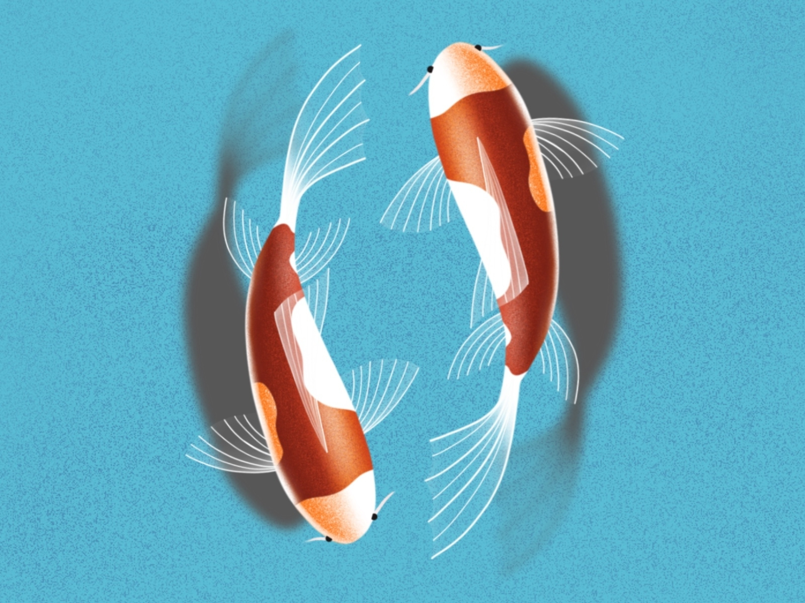 Procreate illustration by Anastasia on Dribbble