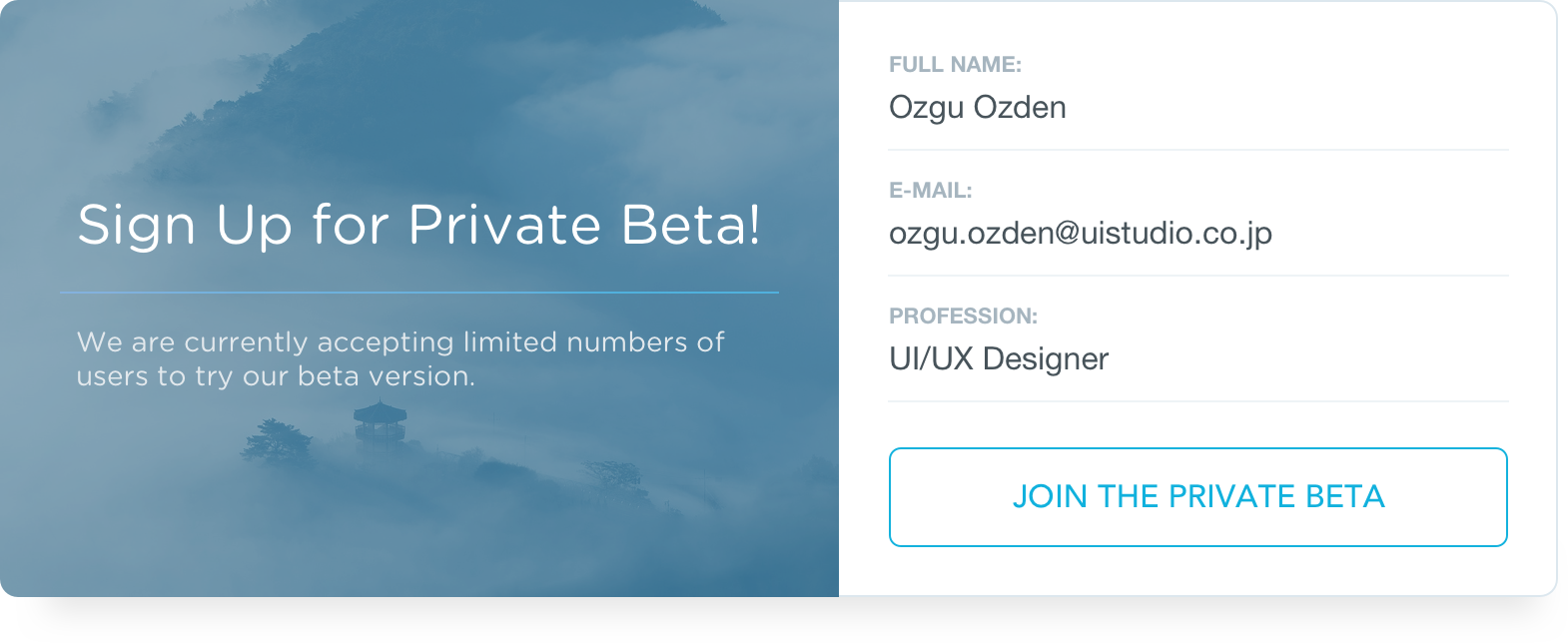 Invitation for Private Beta UI by Ozgu Ozden (オズギュ) on Dribbble