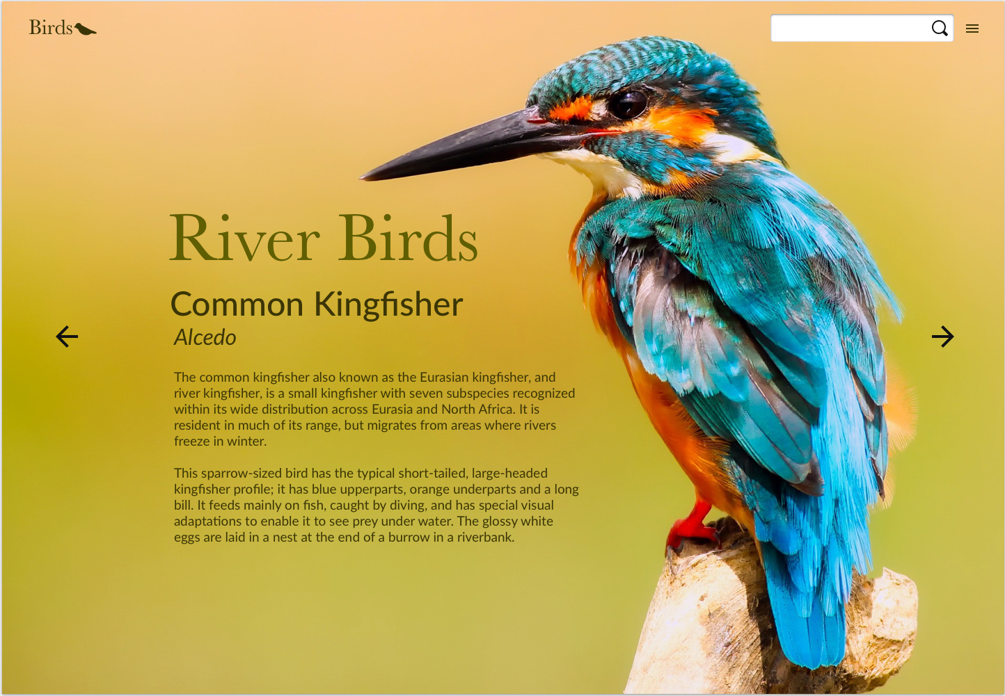 Birds Mockup by Steph Salileng on Dribbble