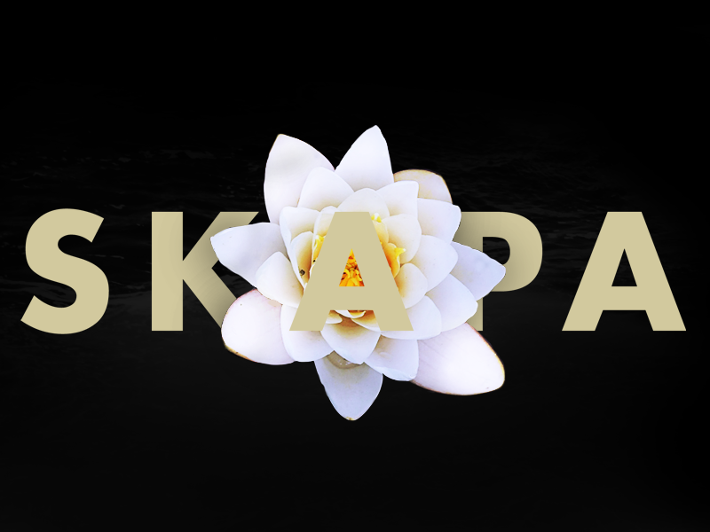 SKAPA | Dribbble