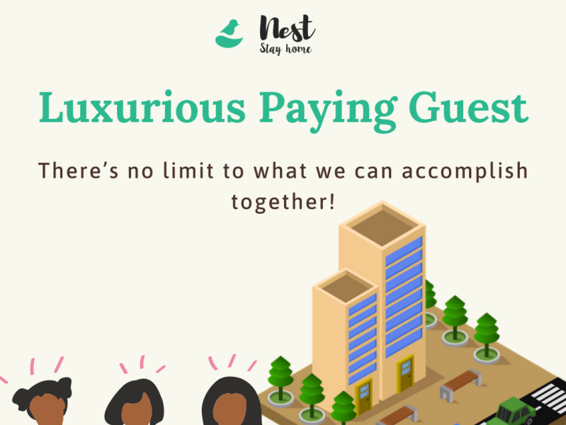 Girls PG in HBR layout by Nest Stay Home on Dribbble