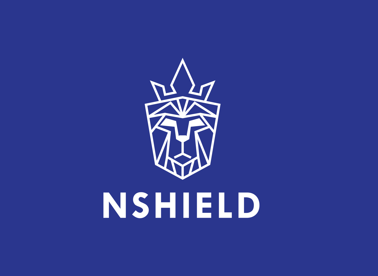 NSHIELD Technologies by Mubashid pk on Dribbble