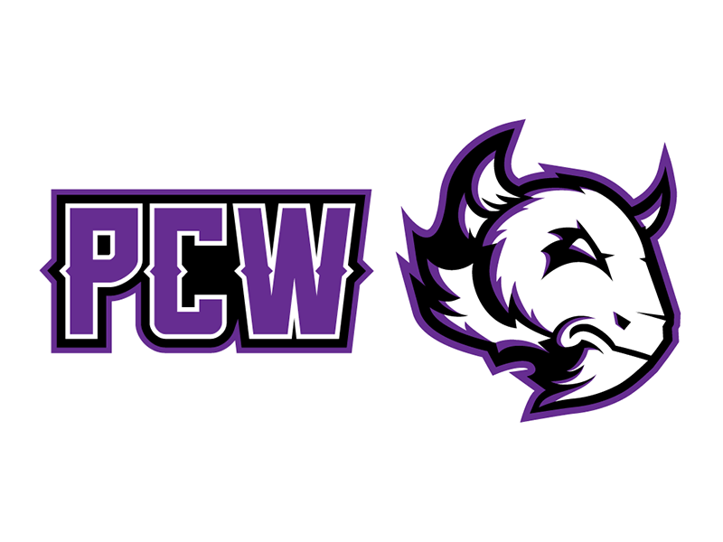 PCW Thunder Logo by Simon Andrys on Dribbble