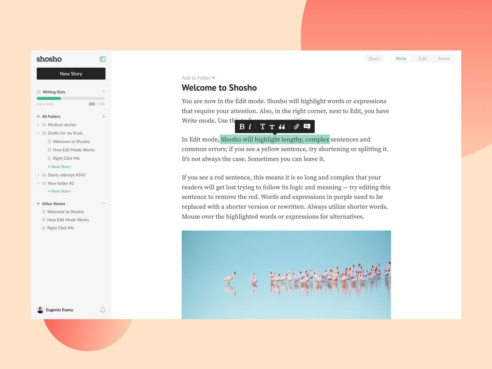 Shosho — Write Mode by Eugen Eşanu on Dribbble