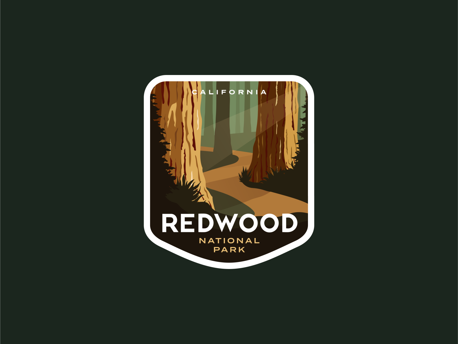 Redwood National Park by Alex Eiman on Dribbble