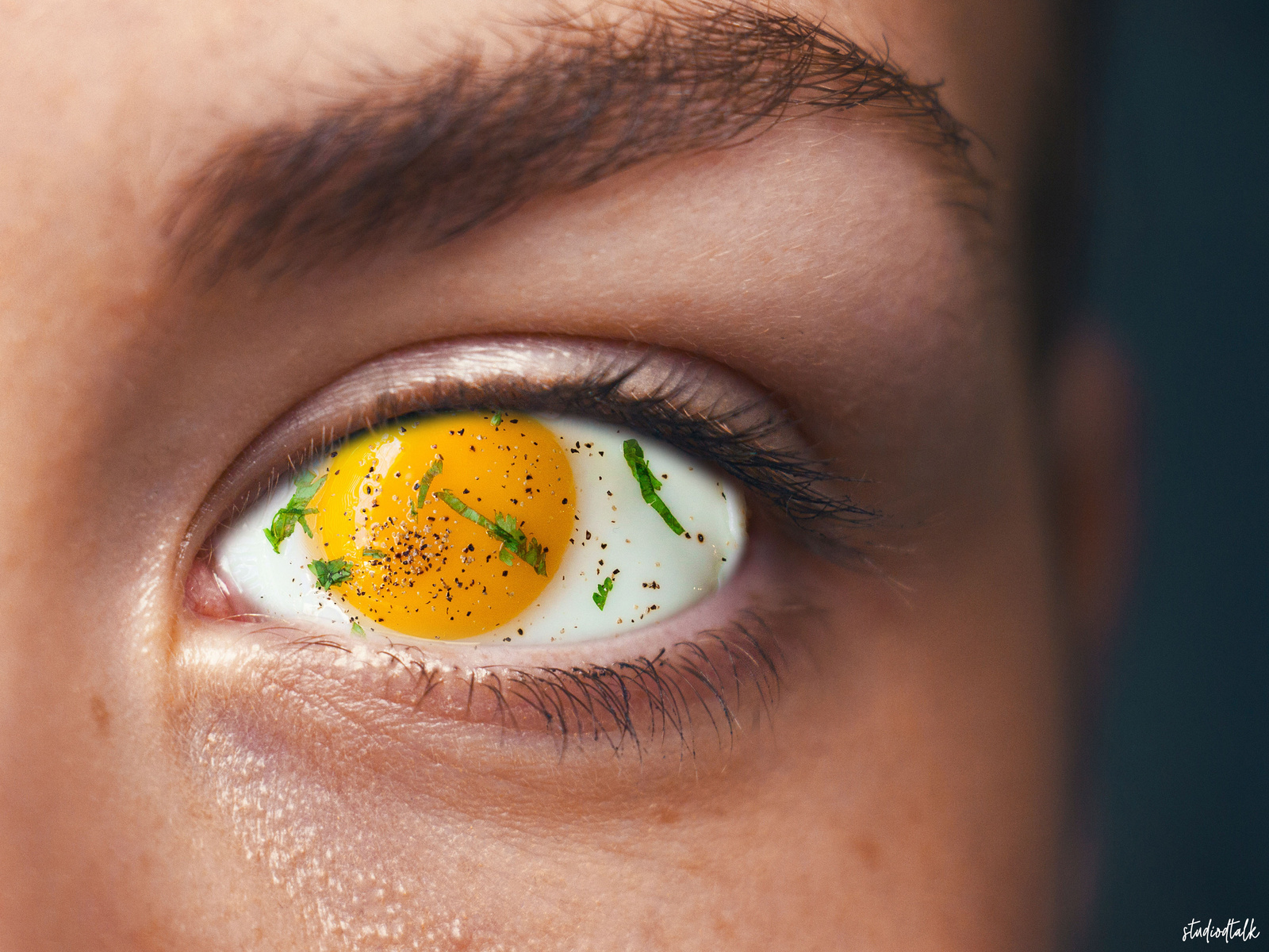 Eggeye by studiodtalk on Dribbble