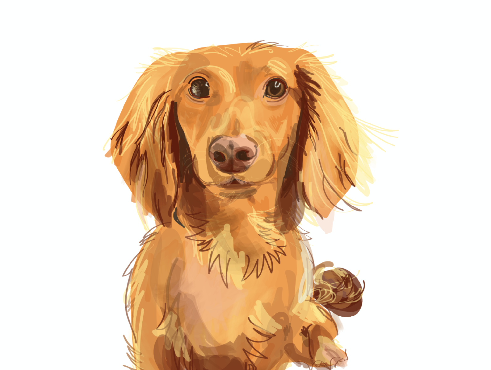 doink by Janet Rojsirilawan on Dribbble