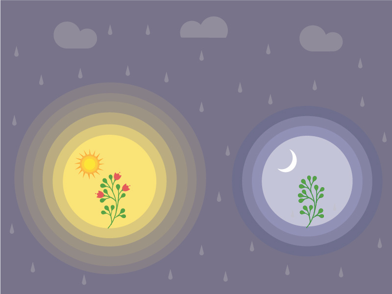 Long Day Short Night - Welcome Spring! by Purvee Jain on Dribbble