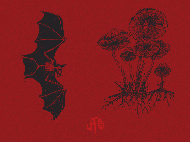 oooo by ufo on Dribbble